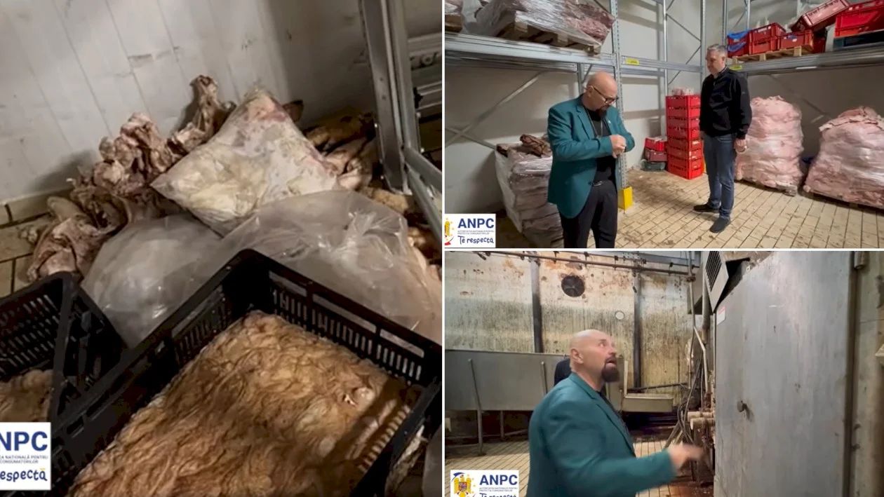 Piedone a închis un abator din Popești-Leordeni: „Aici nu e abator, e ...